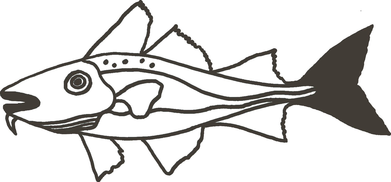 Band Council & Advisory – Flat Bay Band, Inc. • No'kmaq Village